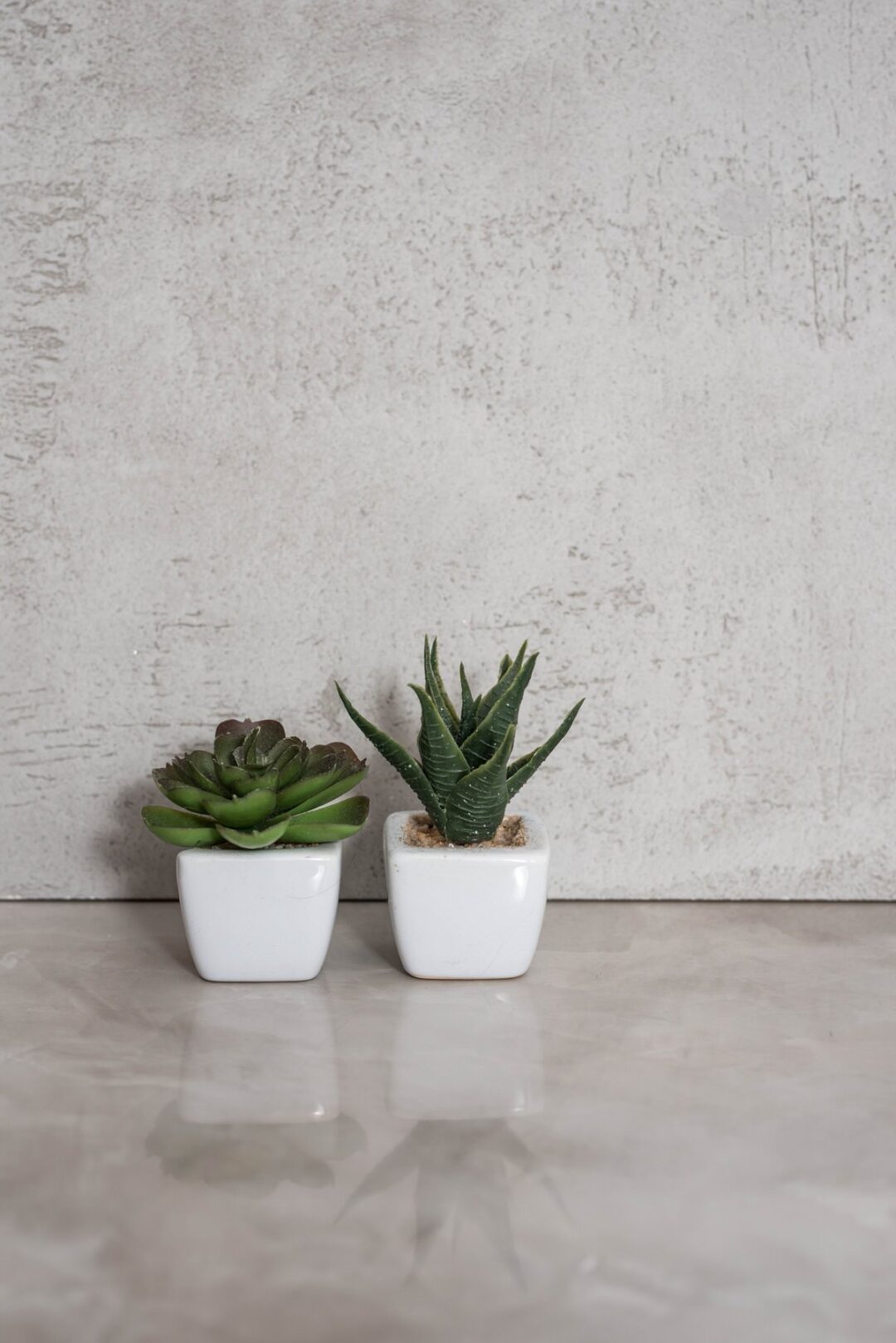 Concrete by Novacolor - Polished Stucco